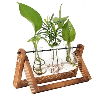 3-Piece Clear Glass Desktop Terrarium with Wooden Stand - Bed Bath ...