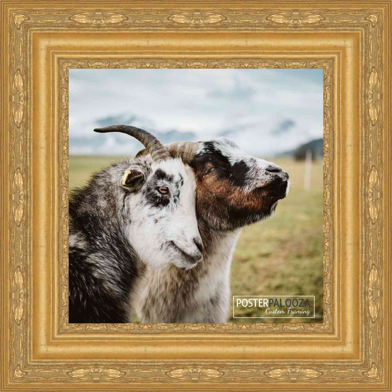 5x5 square frame store