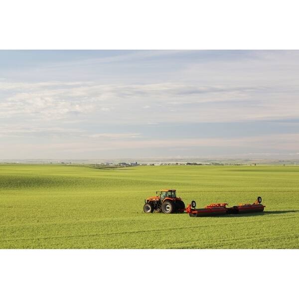 Tractor And Land Roller In An Early Growth Cereal Grain Field. Land ...