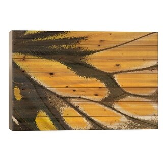 Butterfly Wing Macro-Photography XXII Print On Wood by Darrell Gulin ...