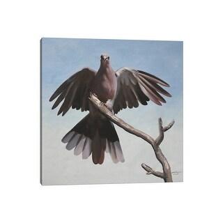 iCanvas "Dove" by D. "Rusty" Rust Canvas Print - Bed Bath & Beyond ...