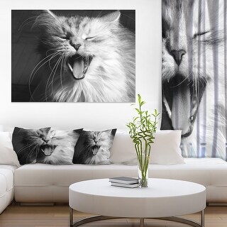 Designart "Yawning White Cat" Animal Canvas Art Print - Bed Bath ...