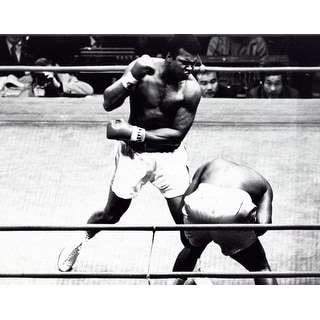 Muhammad Ali and Mac Foster boxing Photo Print - Bed Bath & Beyond ...
