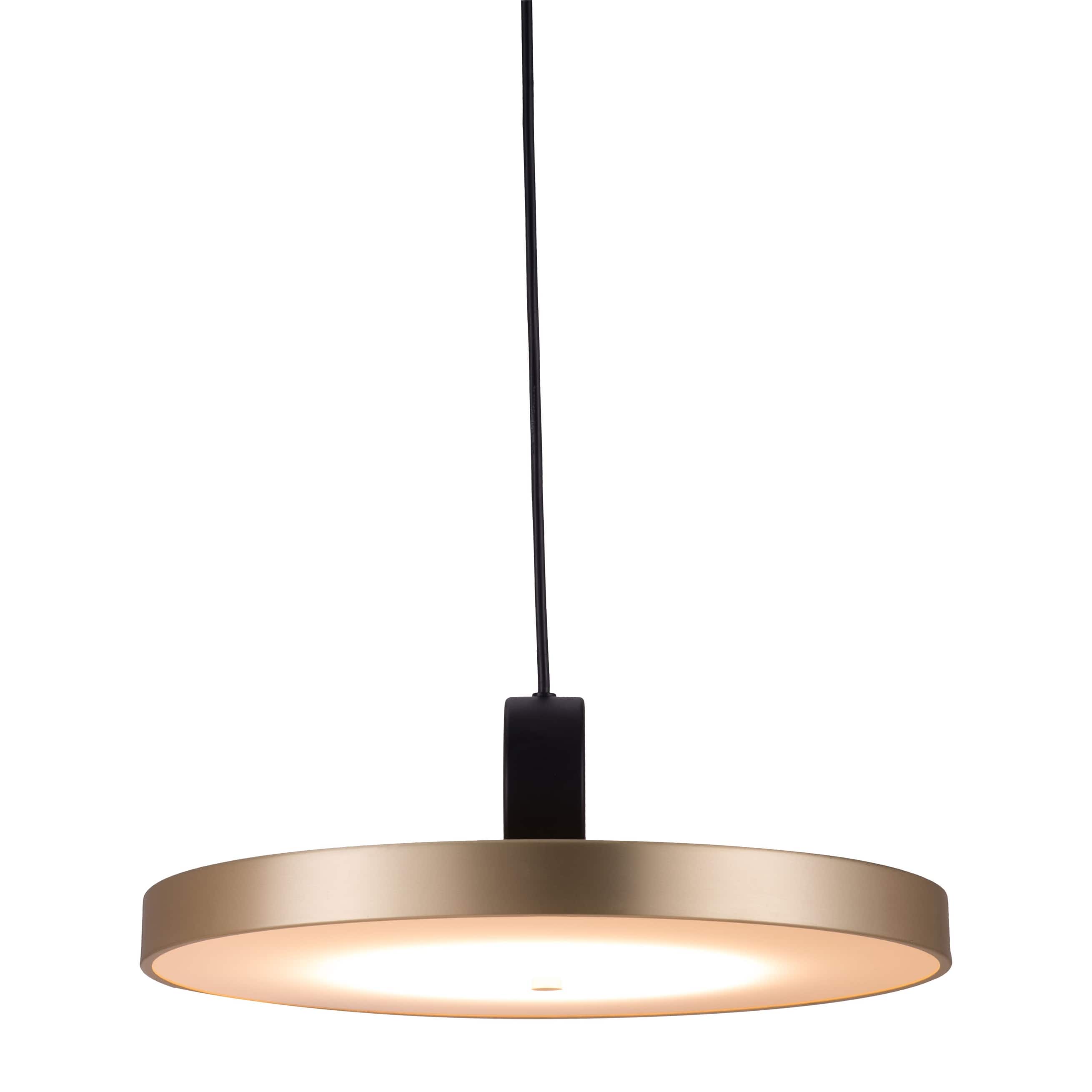 Aubrey Meadow Ceiling Lamp Gold & Black - Bed Bath & Beyond - 33325448