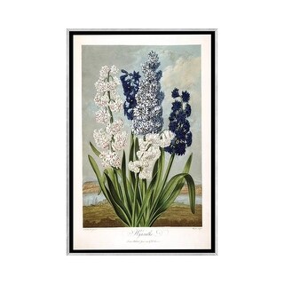 iCanvas "Hyacinths" by Sydenham Edwards Framed - Bed Bath & Beyond ...