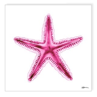 'Magenta Ocean Star' Coastal Canvas Wall Art by Laurie Duncan - Bed ...