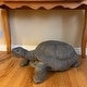 Todd the Tortoise Indoor-Outdoor Large Lawn and Garden Statue - 30 ...