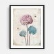 Geranium Study I Pink Flower Collage Animals Insects Art Print/Poster ...