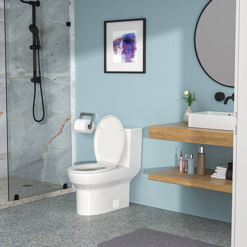Ceramic Single Flush One Piece Toilet with Soft Closing Seat ...