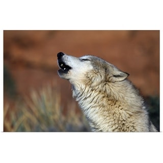 "Wolf Howling" Poster Print - Multi - Bed Bath & Beyond - 16886477