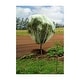 Haxnicks Fruit Tree Covers - Bed Bath & Beyond - 40176525