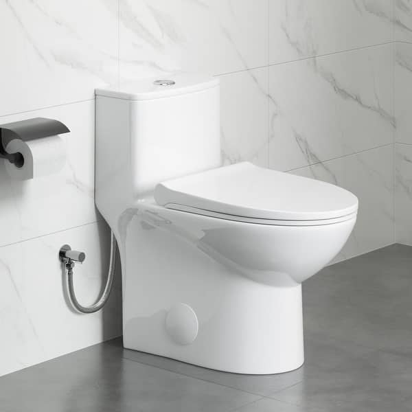 Eridanus Tucson Standard Compact One Piece Toilet, 12-inch Rough in ...