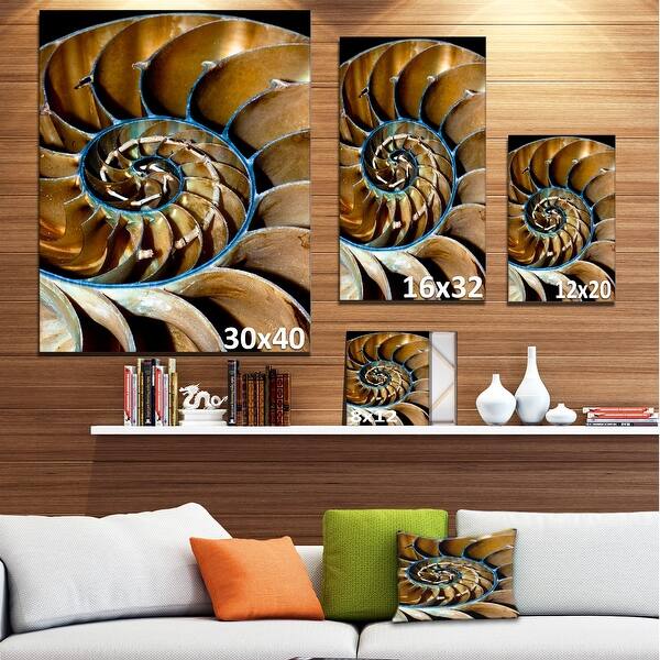 Designart "Brown Large Nautilus Shell" Contemporary Canvas Art Print ...