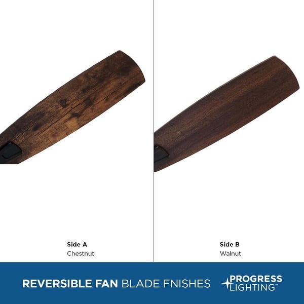 Freestone Collection 52 in. Five-Blade Antique Bronze Transitional ...