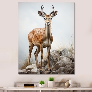 Designart "Graceful Antelope III" Animals Antelope Canvas Print - Bed ...