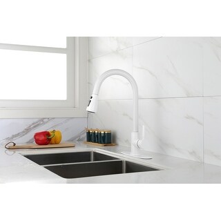 Kitchen Faucet with Pull Out Spraye - Bed Bath & Beyond - 38143117