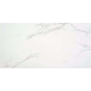 The Tile Life Adonis 24" x 48" White Porcelain Tile Flooring and Wall ...