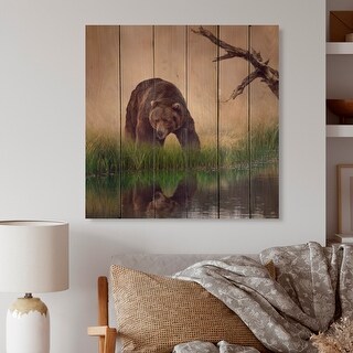 Designart 'Grizzly Bear Reflection On Lake' Traditional Wood Wall Art ...
