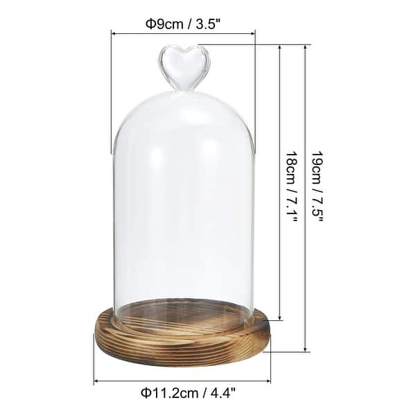 Glass Dome Cloche Clear Glass Bell Jar Display Case with Wooden Base ...