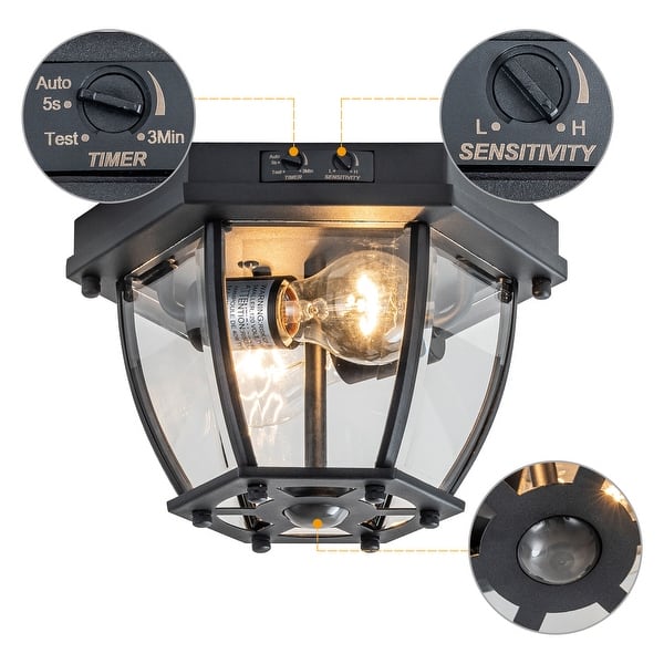 C Cattleya 2-Light Matte Black Motion Sensor Outdoor Flush Mount ...