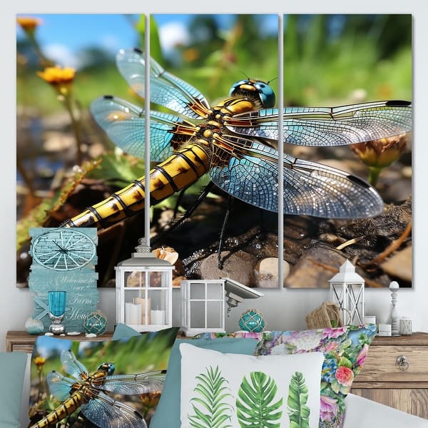 dragonfly set design