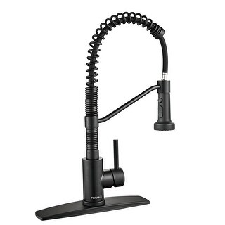 Forious Kitchen Faucet with Single Handle Pull Down Sprayer - Bed Bath ...