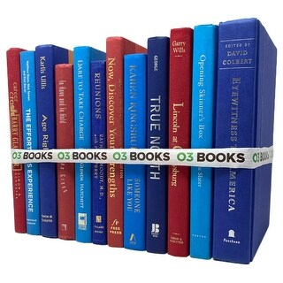 Regal Rouge Decorative Books Red Blue and Violet - N/A - Bed Bath ...