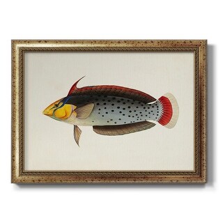 Tropical Fish Collection IV Premium Framed Canvas- Ready to Hang - Bed ...