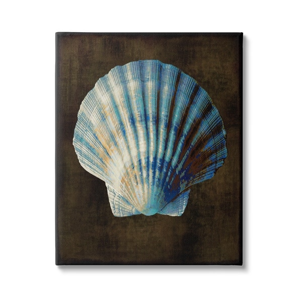 Stupell Rustic Clam Shell Canvas Wall Art Design by Caroline Kelly ...
