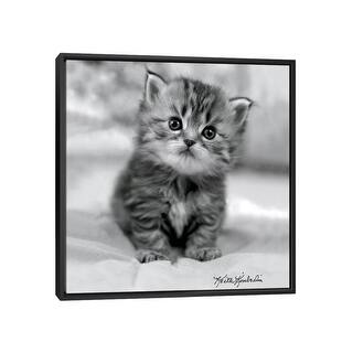 iCanvas "3 Weeks Young" by Keith Kimberlin Framed Canvas Print - Bed ...