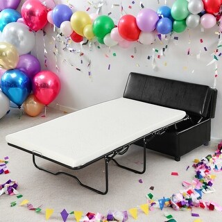 Pull Out Ottoman Sleeper Chairs - Bed Bath & Beyond - 41196962