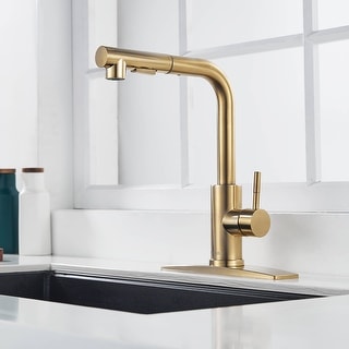 Forious Kitchen Faucet with Single Handle Pull Down Sprayer - Bed Bath ...