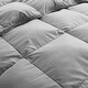 All-Season Medium Warmth White Goose Down Comforter with Premium Fabric ...