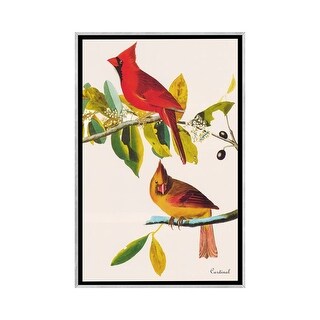 iCanvas "Cardinal" by John James Audubon Framed - Bed Bath & Beyond ...