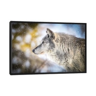 iCanvas "Gray Timberwolf In A Snowfall" by Nik Rave Framed Canvas Print ...
