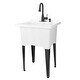 TEHILA Glossy White Utility Sink Laundry Tub with Faucet and Side ...