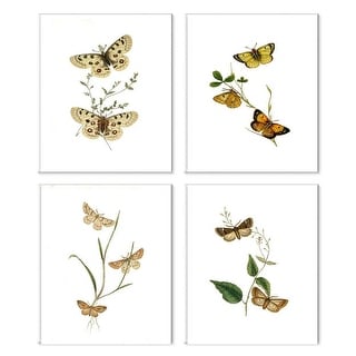 Set of 4 Neutral Butterfly Nature Botanical Wall Art Canvas 8" x 10 ...