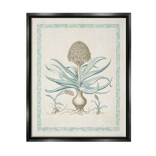 Stupell Botanical Latin Study Plant Framed Floater Canvas Wall Art ...