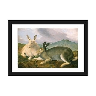 iCanvas "Arctic Hare (Audubon Commission)" by Joseph Bartholomew Kidd ...