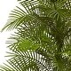 7' Double Robellini Palm Outdoor Artificial Tree - Bed Bath & Beyond ...