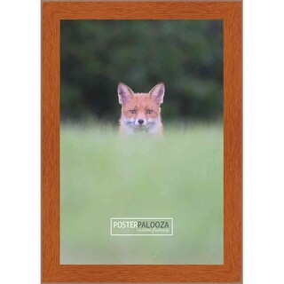 11.7x16.5 Traditional Honey Pecan Complete Wood Picture Frame with UV ...