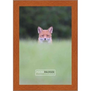 8x14 Traditional Honey Pecan Complete Wood Picture Frame with UV ...