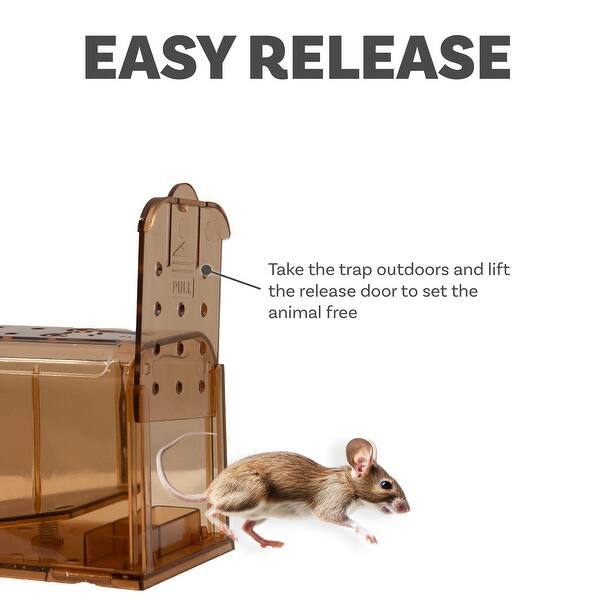 humane mouse traps that work
