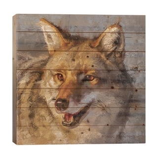 Cheerful Bandit Print On Wood by Mark McKenna - Multi-Color - Bed Bath ...