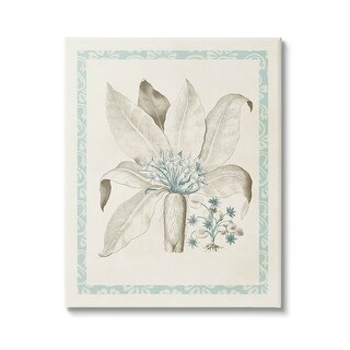 Stupell Detailed Plant Study Botanicals Canvas Wall Art, Design by ...