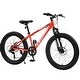 24 Inch Fat Tire Bike Full Shimano 7 Speeds Dual Disc Brake Front ...