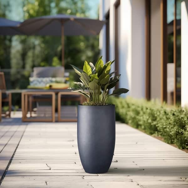 large statement plant pots