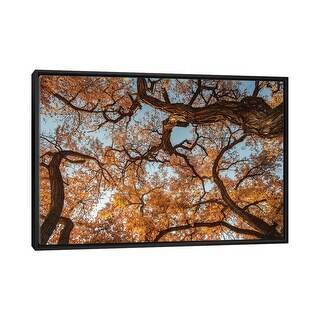 iCanvas "Cottonwood trees in fall foliage, Rio Grande Nature Park ...