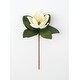 Sullivans Artificial Magnolia Stem 18.5"H Cream - 13"L x 11"W x 18.5"H ...