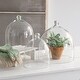 Large Glass Bell Shaped Cloche - 11¾'' dia. x 13''H - Bed Bath & Beyond ...
